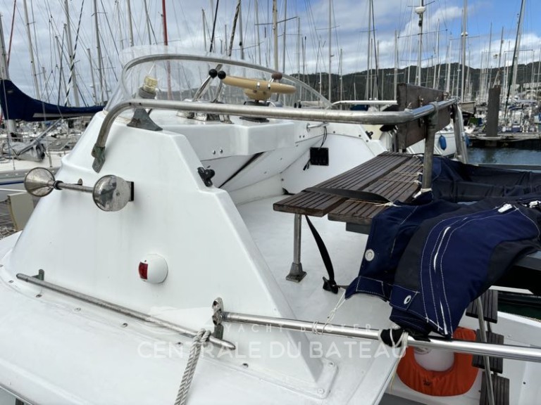 BERTRAM 25 Sport - Bateau moteur d'occasion